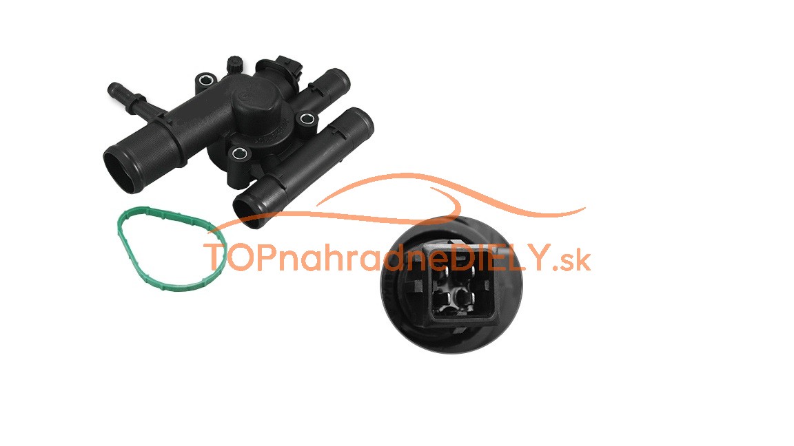 Termostat s obalom Renault Master II
